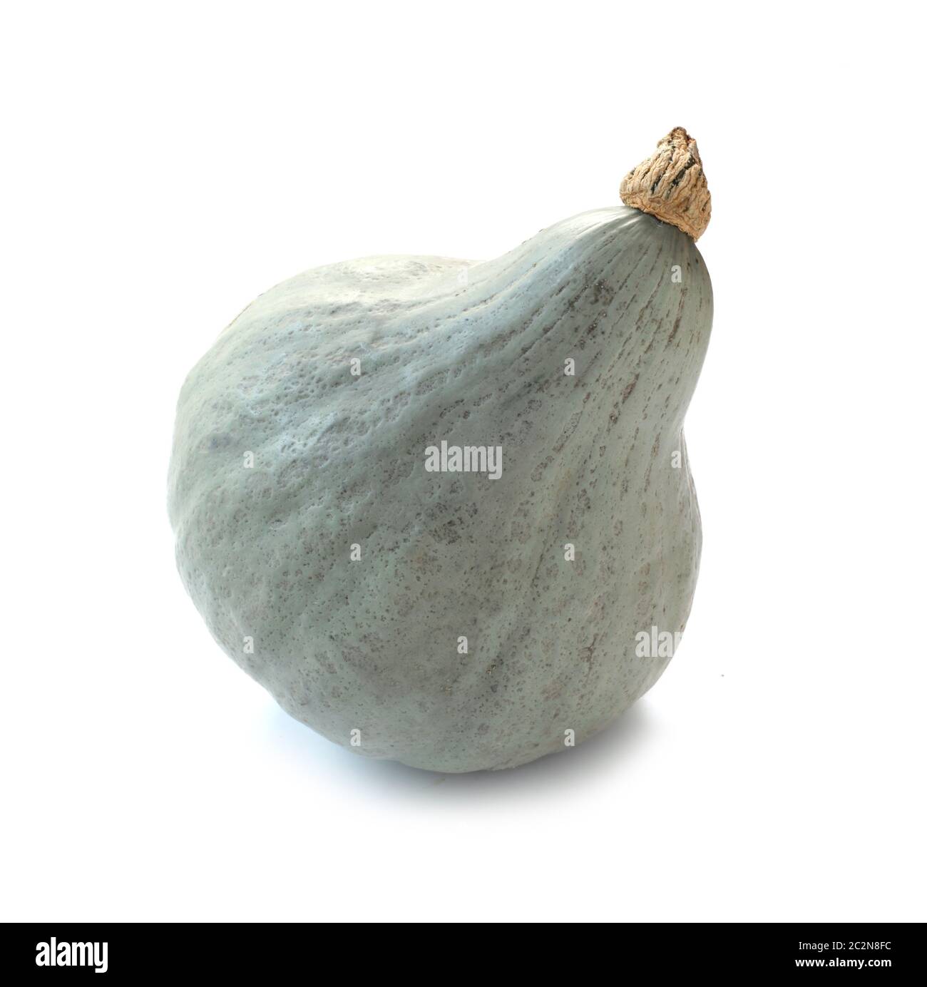 Blue Hubbard Squash Isolated On White Stock Photo - Alamy