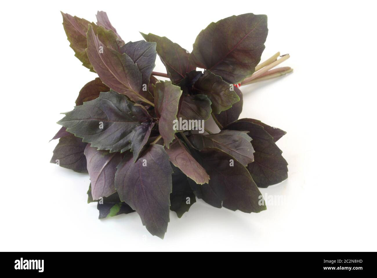 Red Basil Isolated On White Stock Photo - Alamy