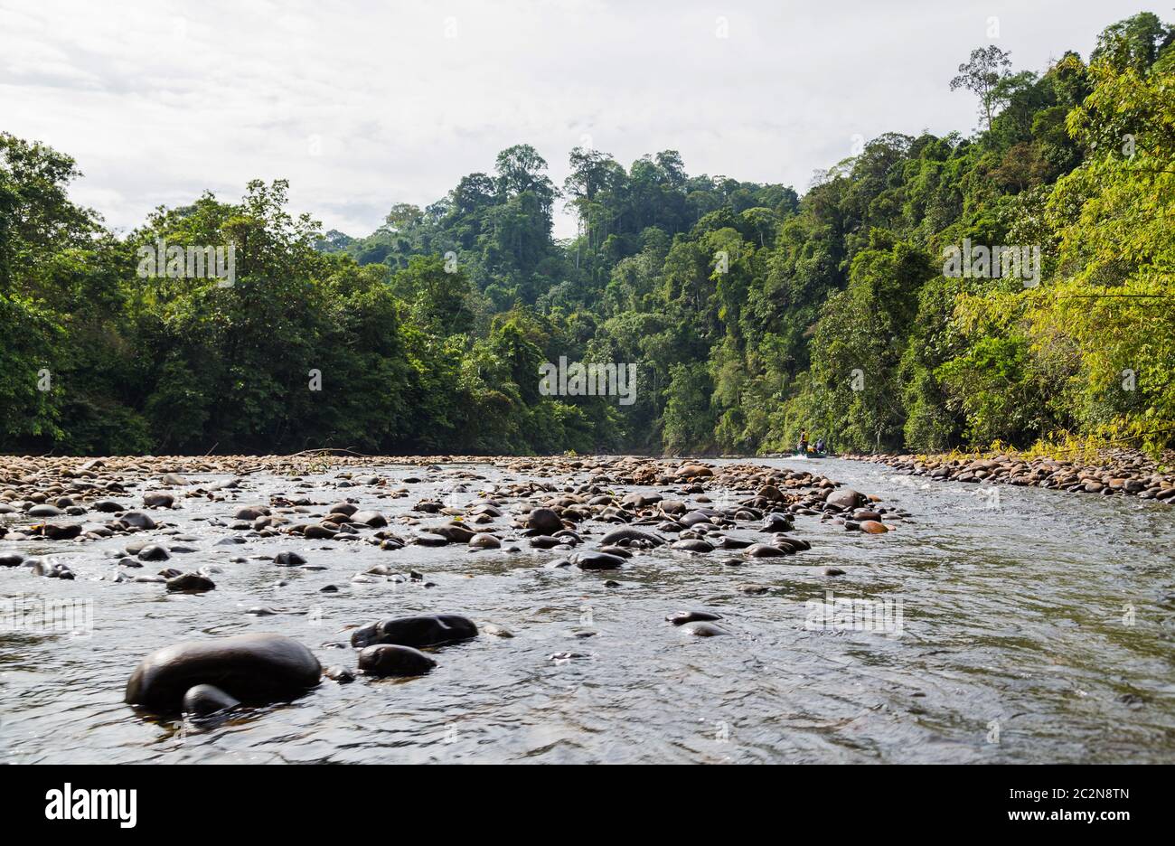 Temburong River, Virgin Rainforest, Ulu Temburong National Park, Brunei ...