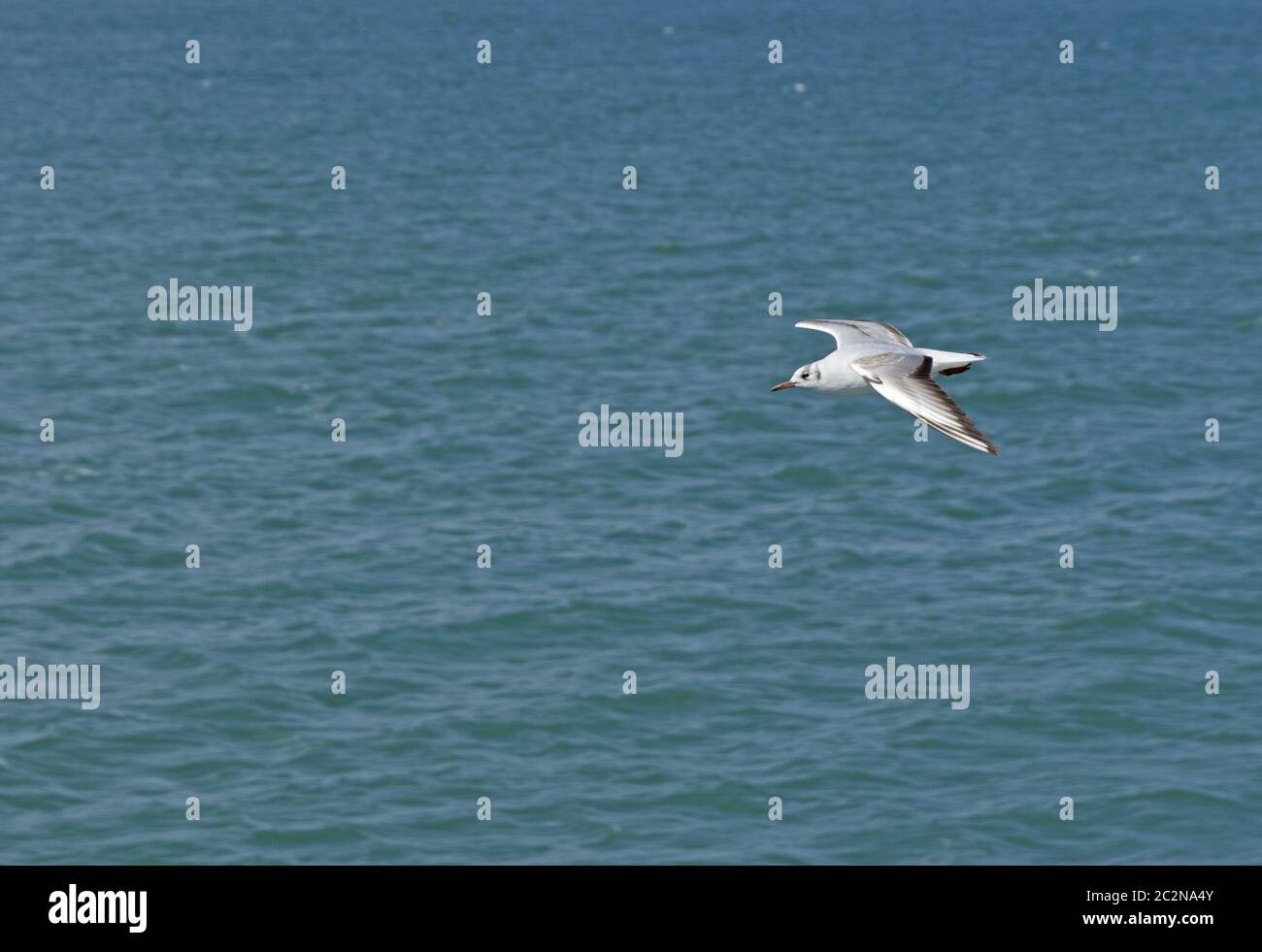 Fly over beauty ocean waves hi-res stock photography and images - Alamy