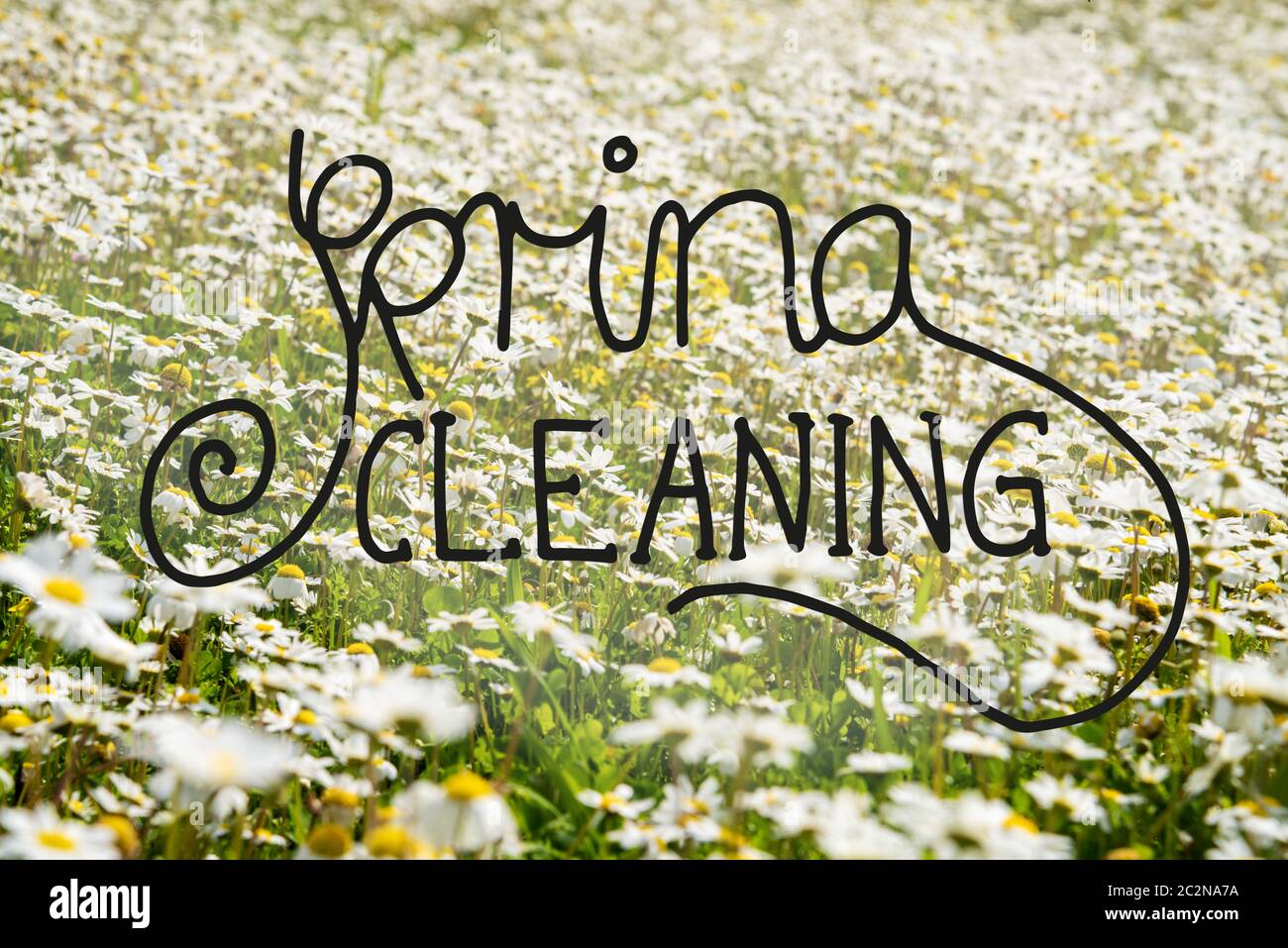 English Calligraphy Spring Cleaning. Beautiful Scenery Of Sunny, White ...