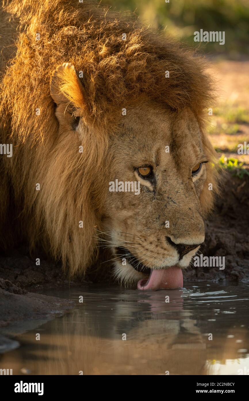 Water lapping up hi-res stock photography and images - Alamy