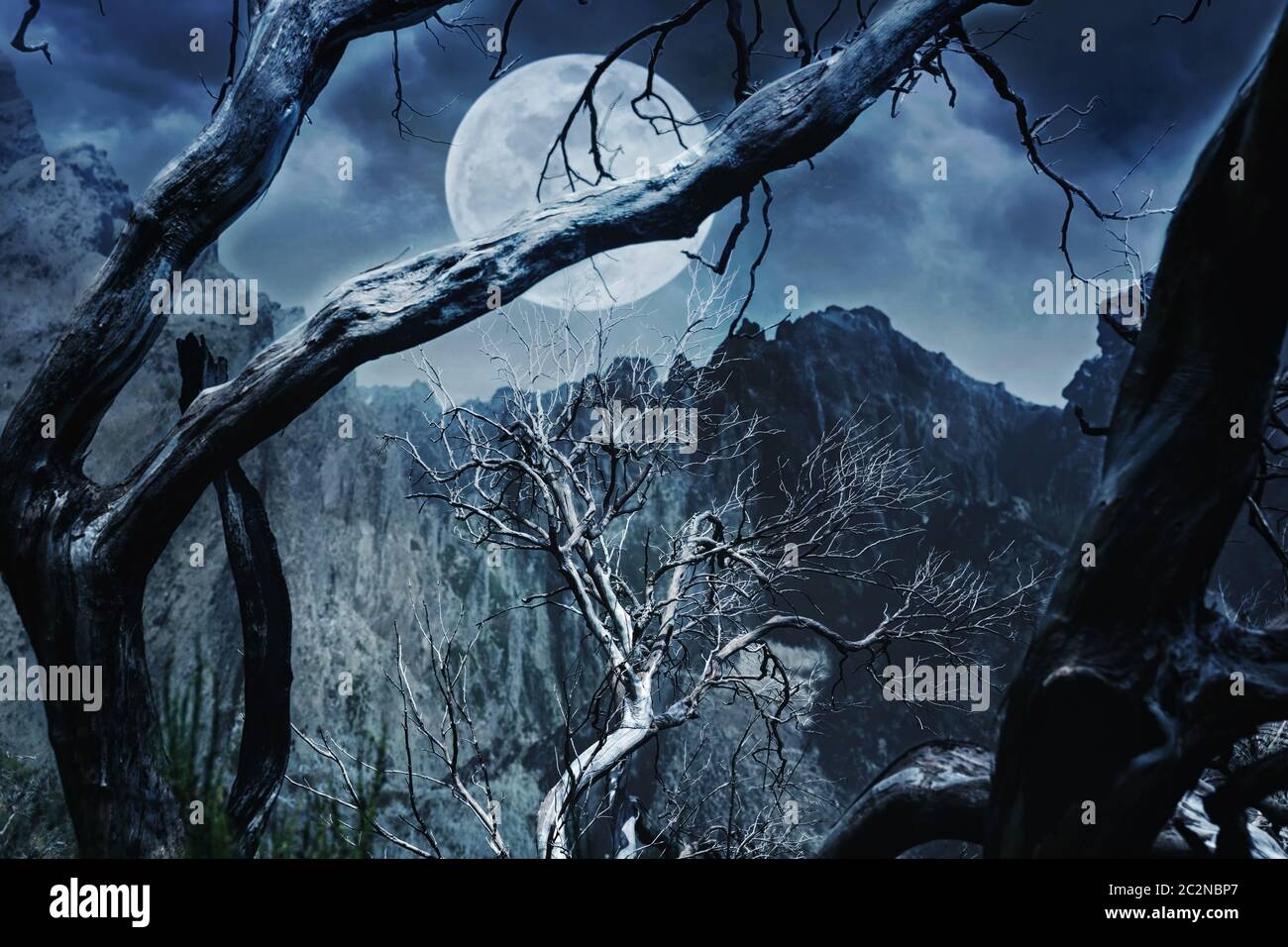 Horrible forest at night in the mountain Stock Photo - Alamy