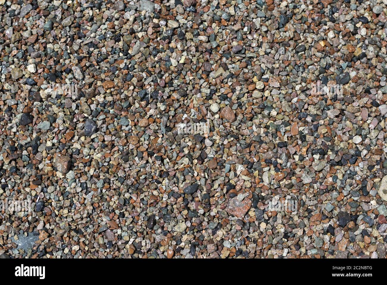sea shells background Stock Photo - Alamy