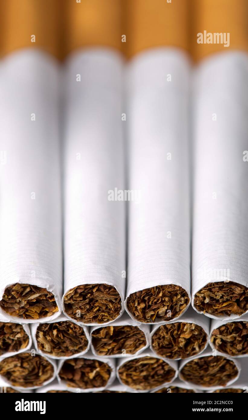 Macro view of cigarettes in a row Stock Photo - Alamy