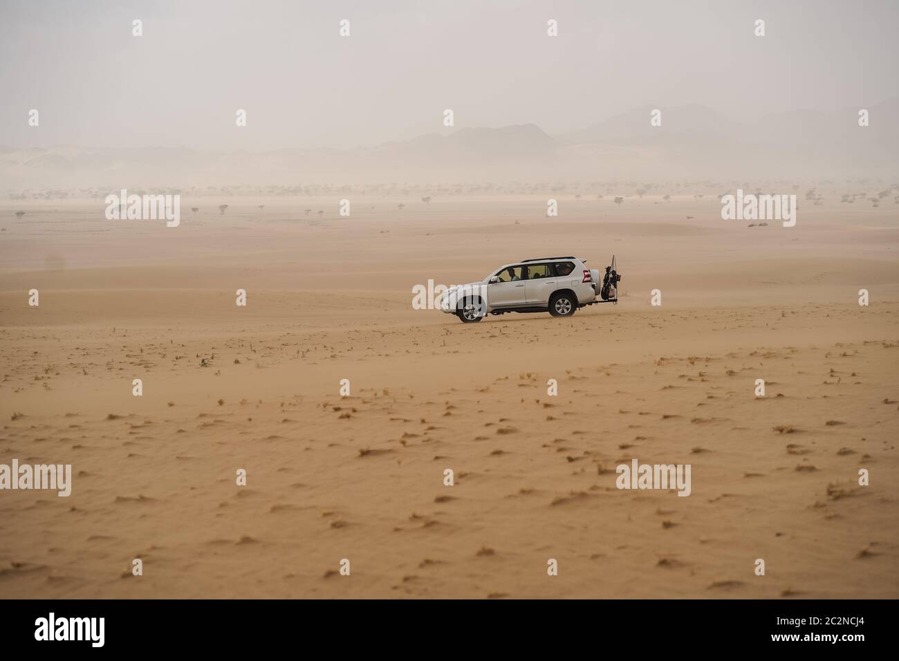 Badr Desert / Saudi Arabia - January 20, 2020: all road 4x4 vehicle in ...