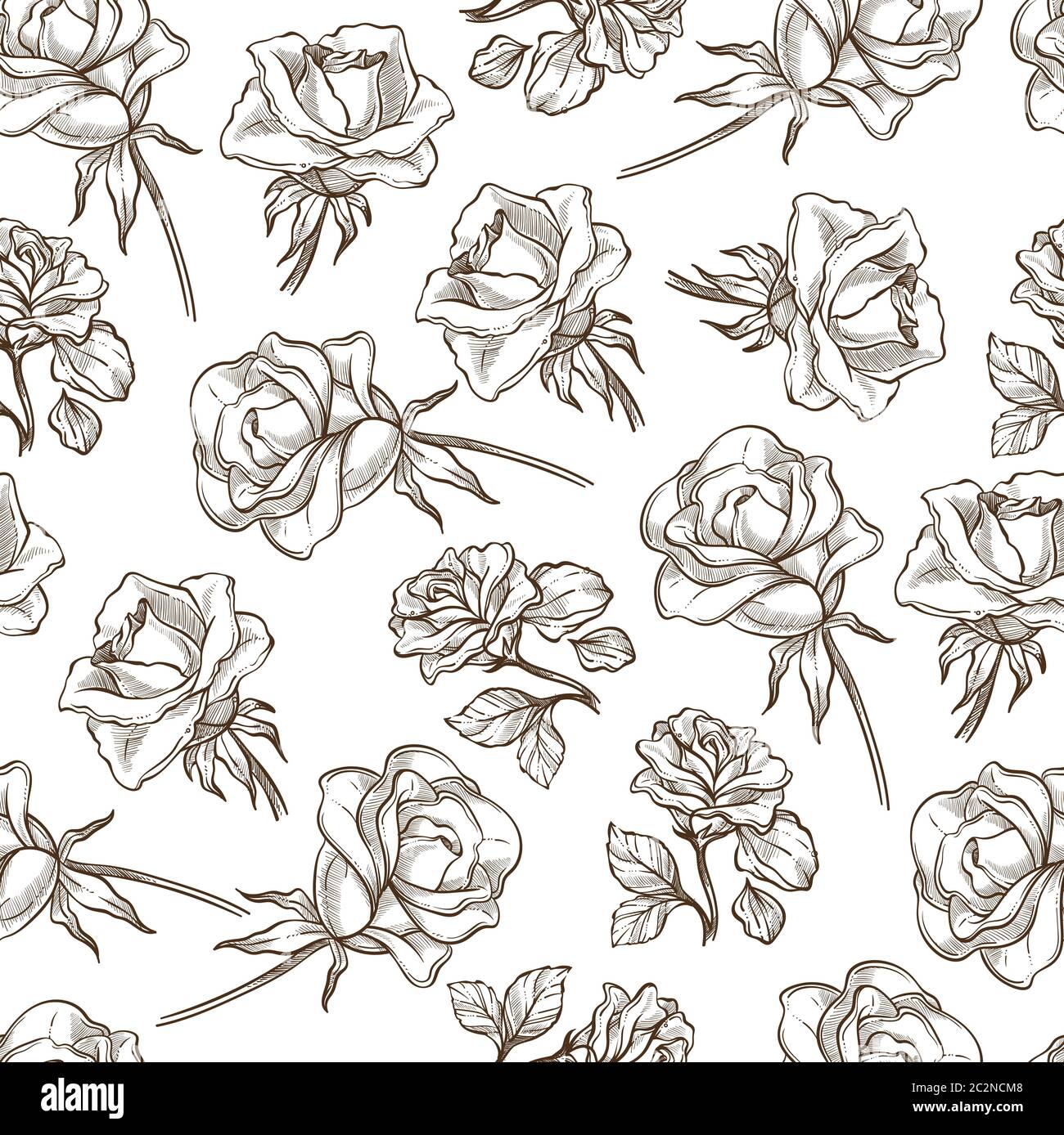 Roses in blossom, flourishing flower seamless pattern vector Stock ...