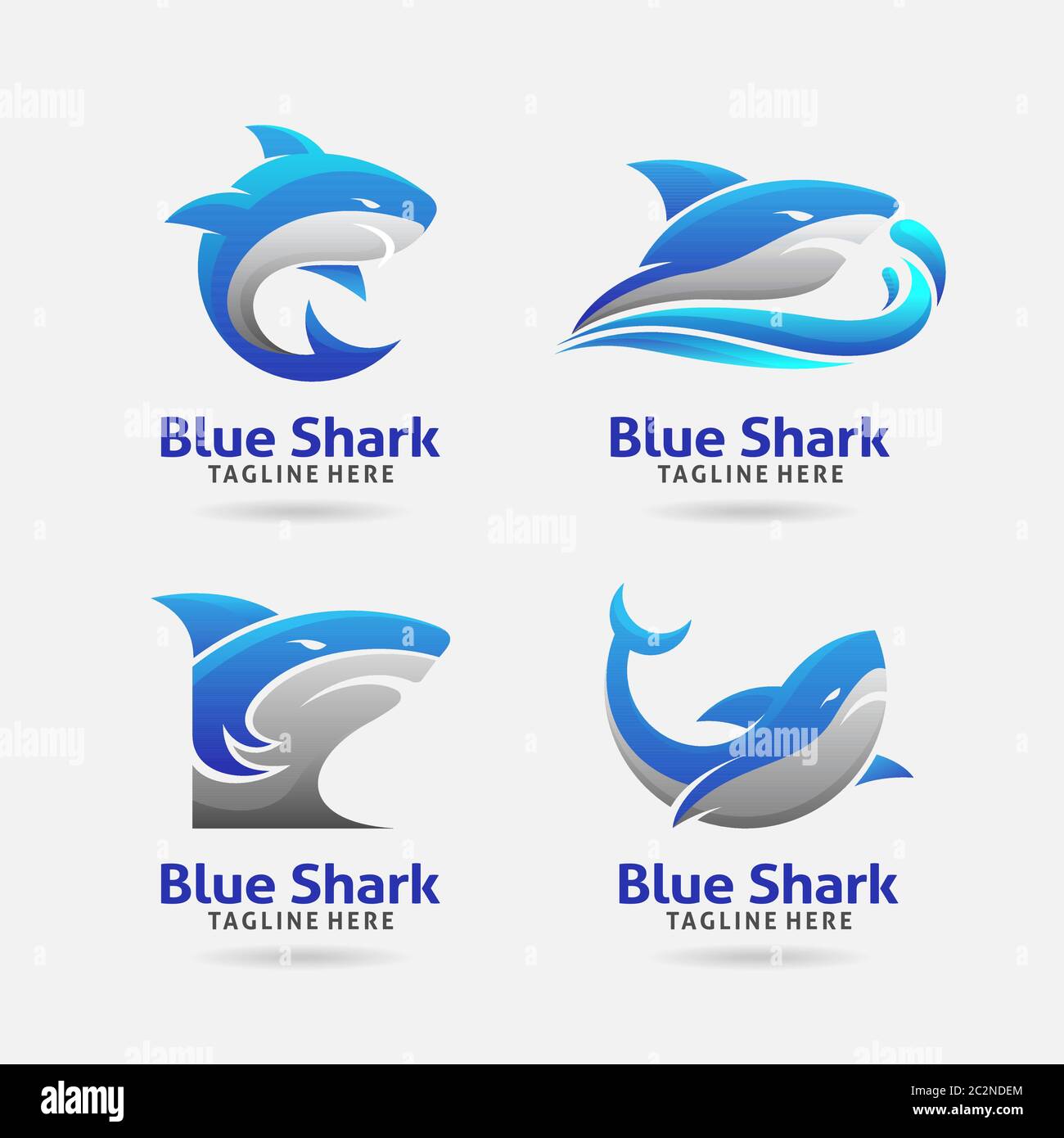 Shark attack concept Stock Vector Images - Alamy