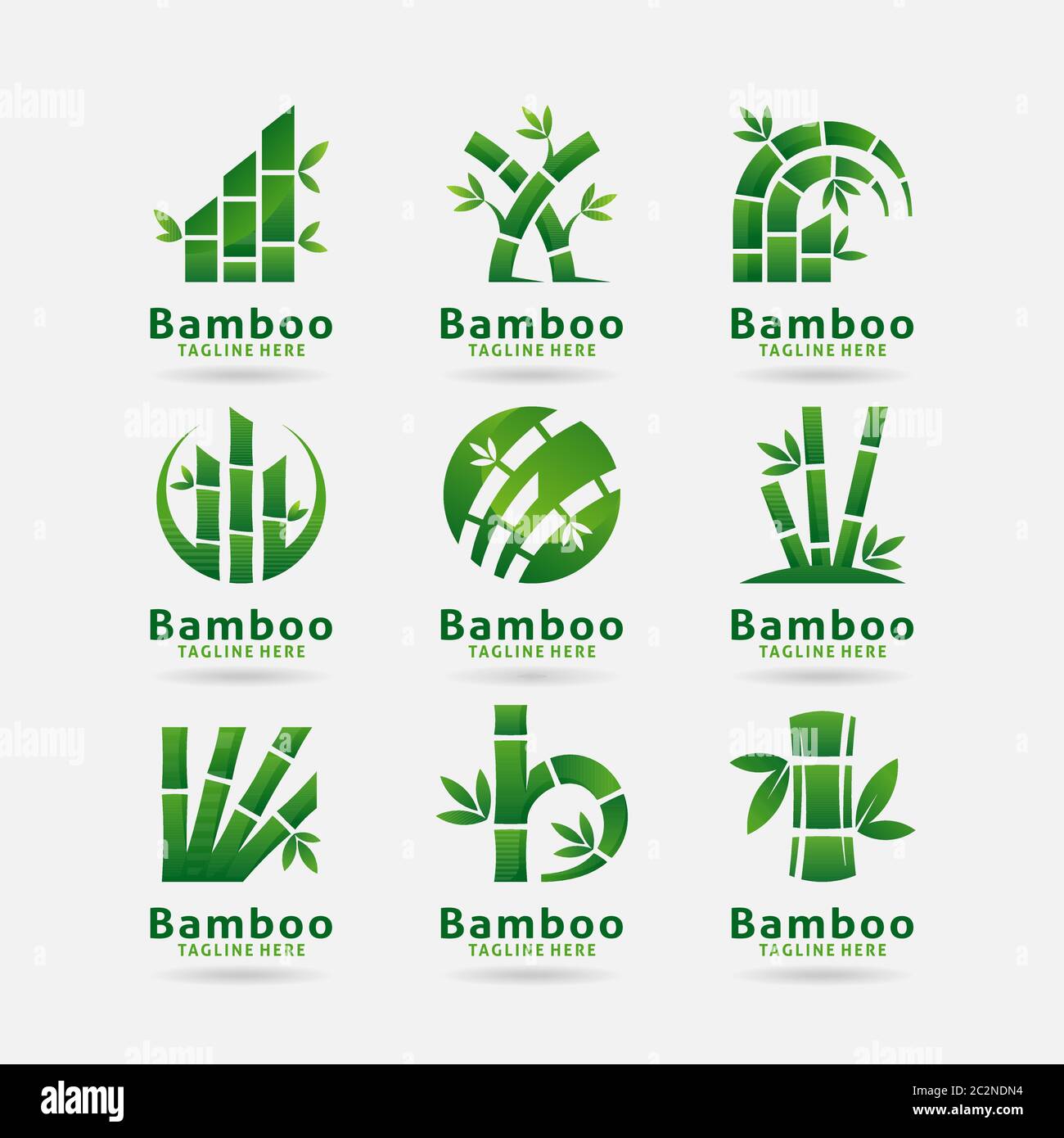 Jungle bamboo sign vector Stock Vector Images - Alamy