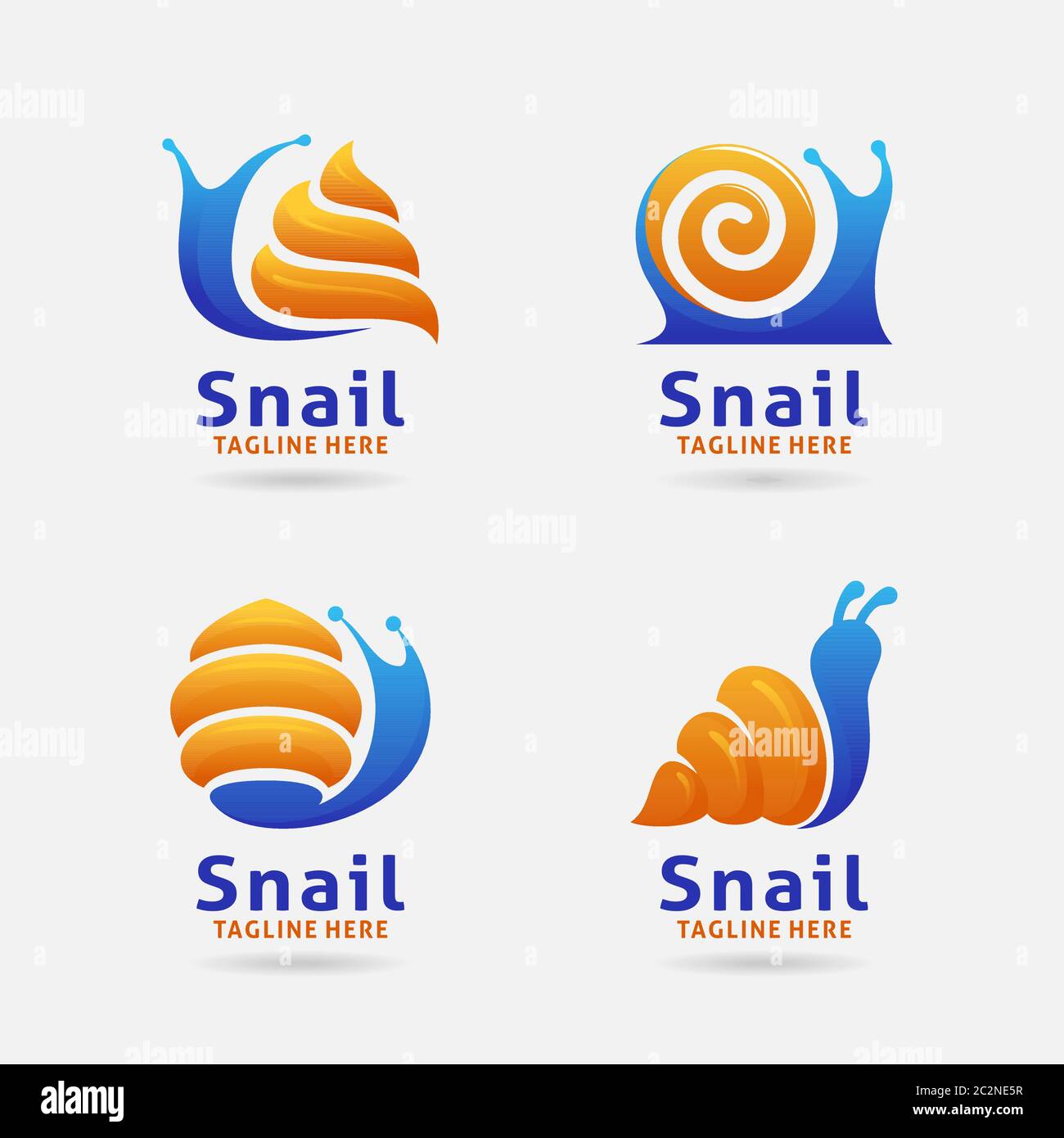 Mollusc Animal Stock Vector Images - Alamy