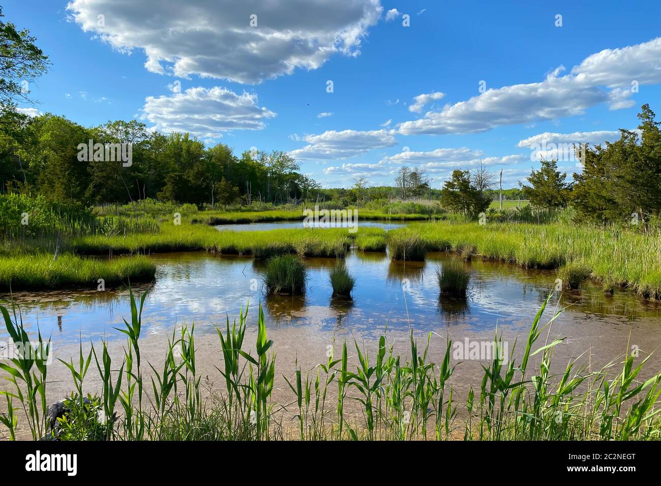 Beautiful Sky and Clouds Overlooking a Pond Stock Photo - Alamy