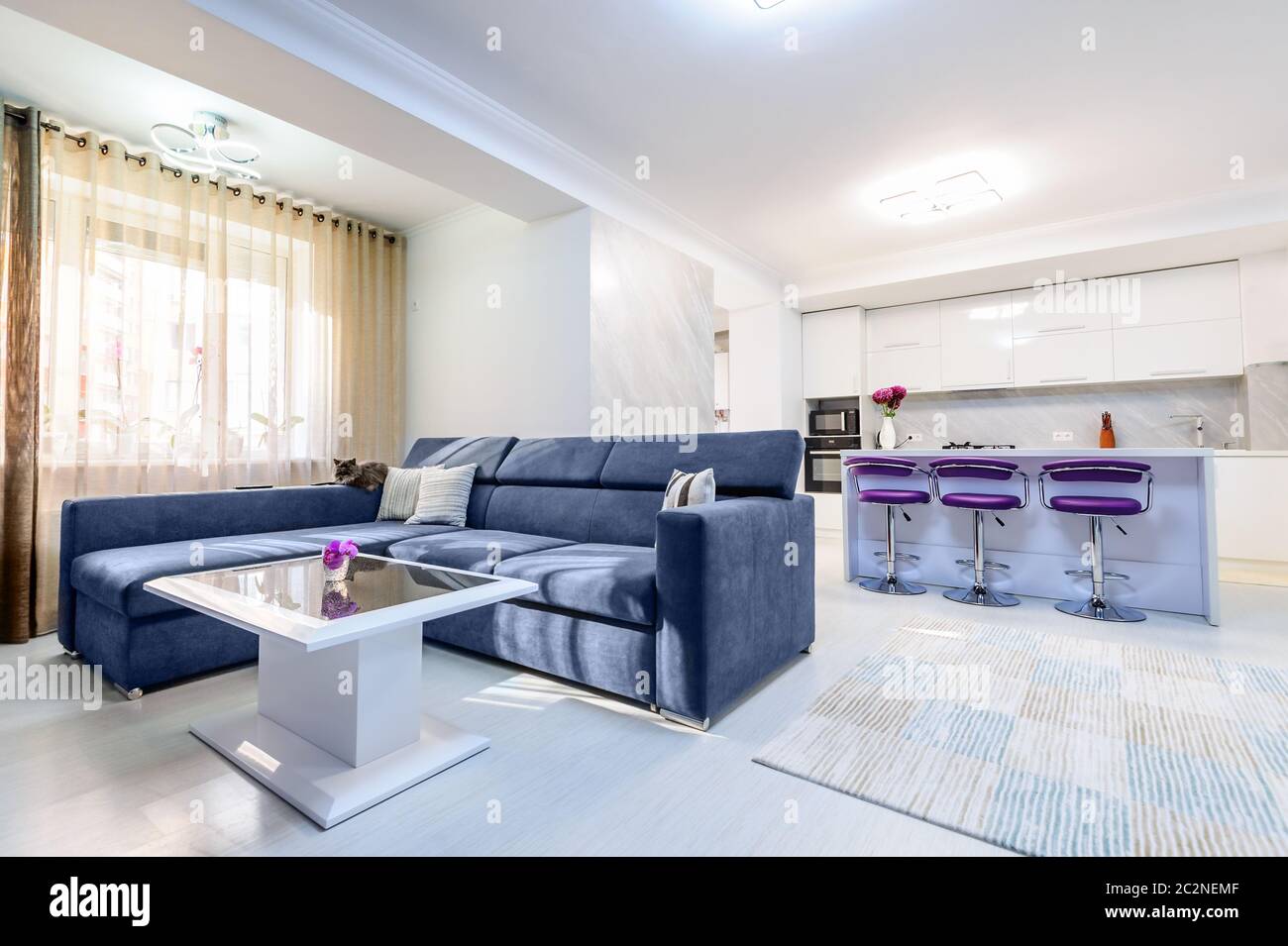 Interior of modern white studio apartment with kitchen Stock Photo - Alamy