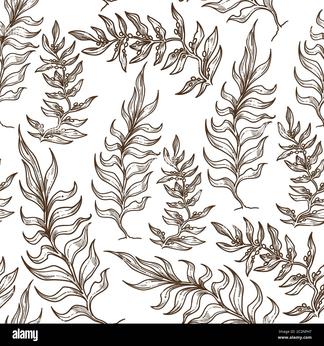 Royal fern leaves, tropical decoration or seaweed seamless pattern ...