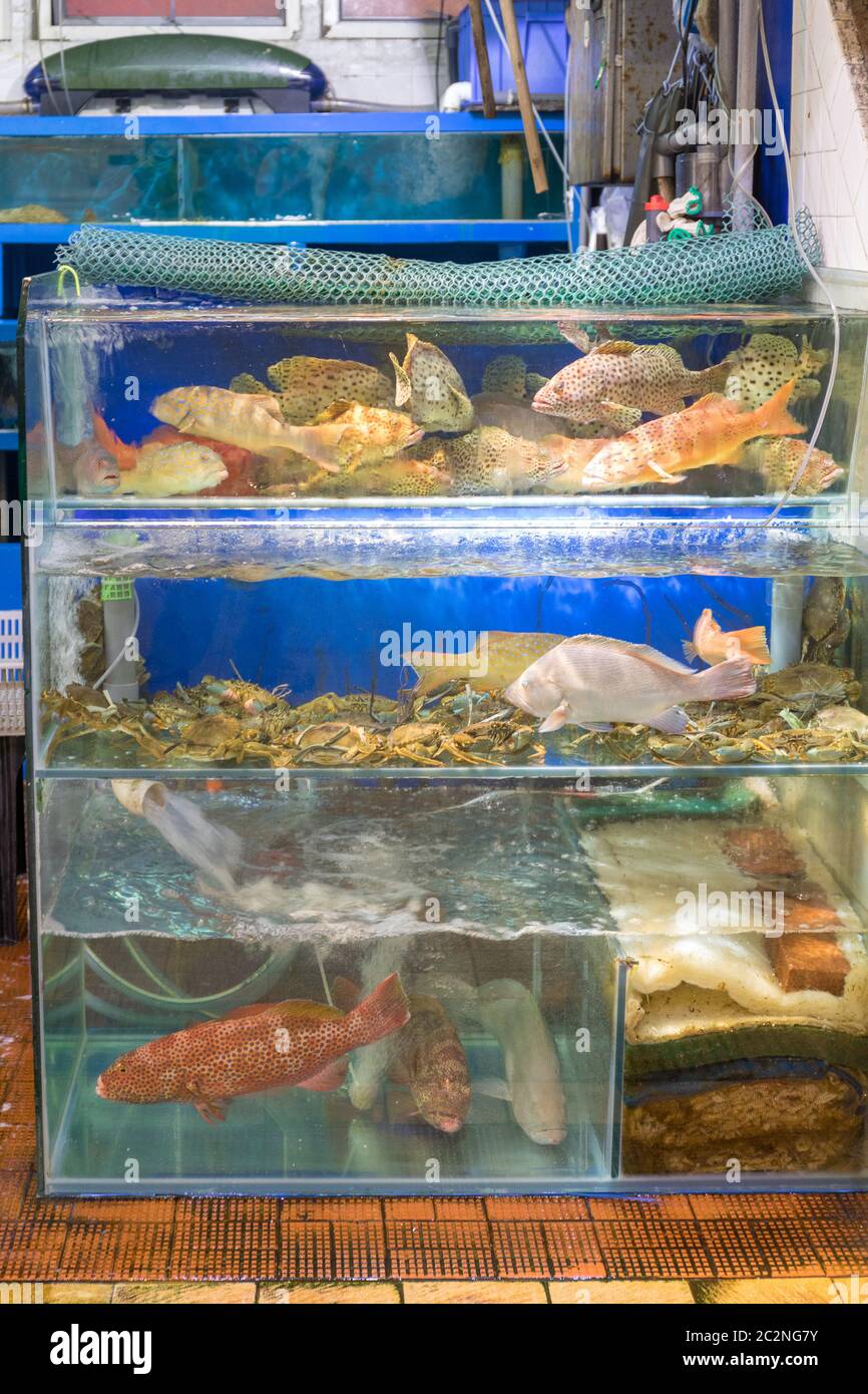 Crabs in water tank hi-res stock photography and images - Alamy