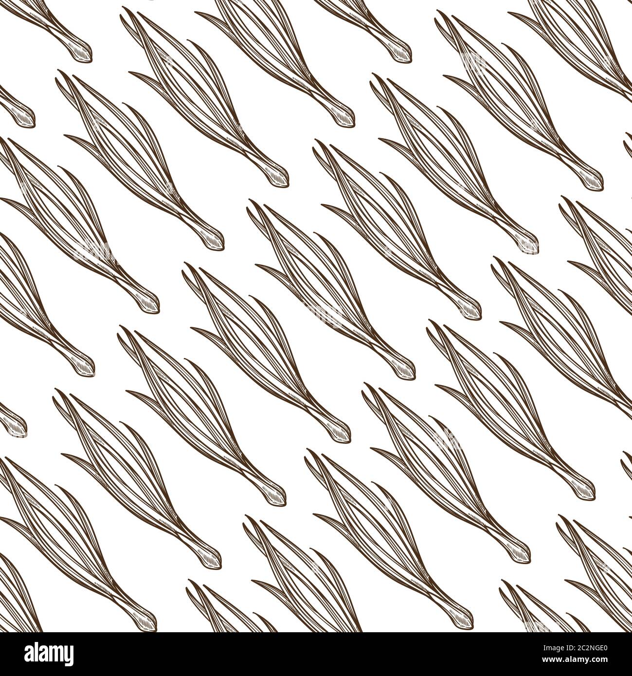 Onion leaves, organic natural product for cooking seamless pattern ...