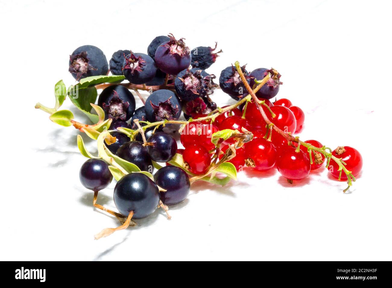 Black and red berries Stock Photo - Alamy
