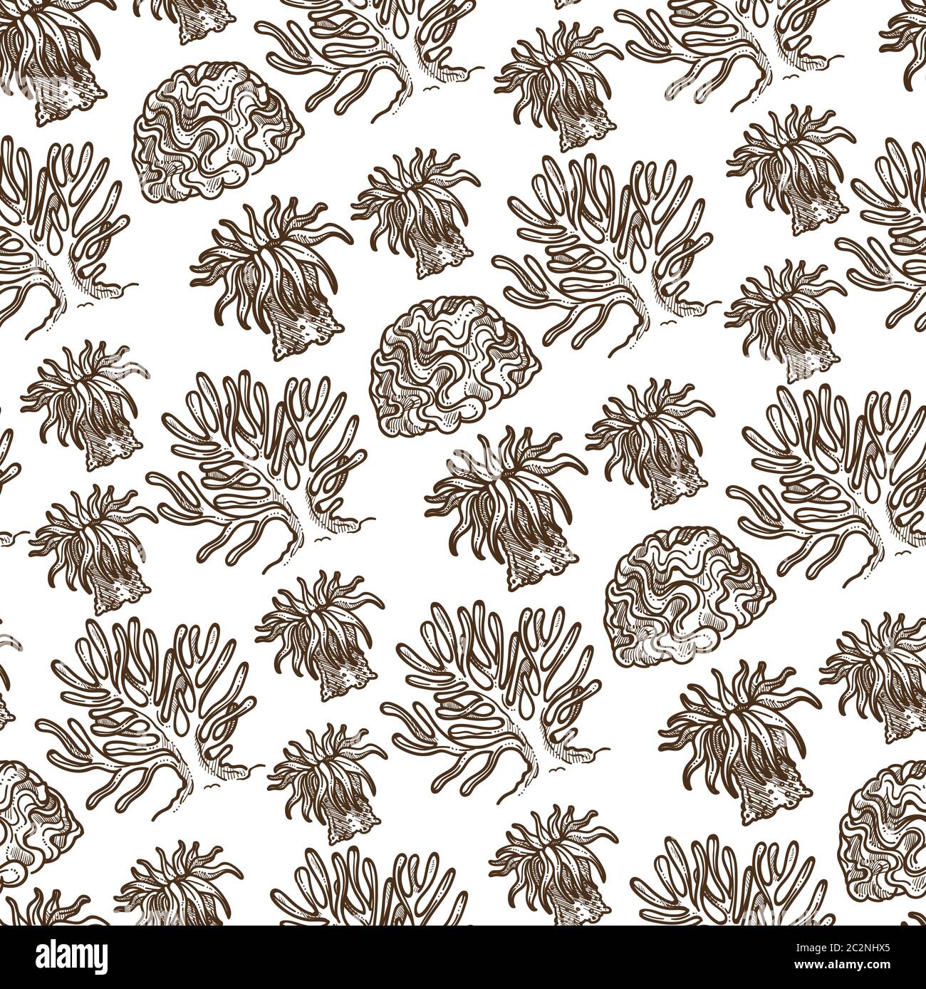 Seaweed flowers and leaves underwater monochrome seamless pattern Stock ...