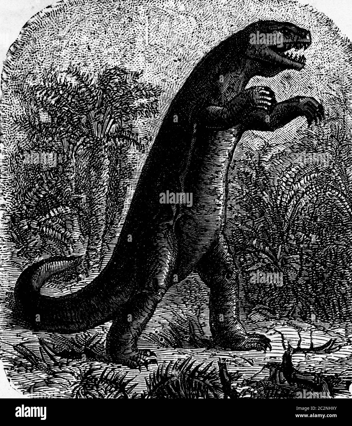 Dinosaur, vintage engraved illustration. Earth before man – 1886 Stock ...