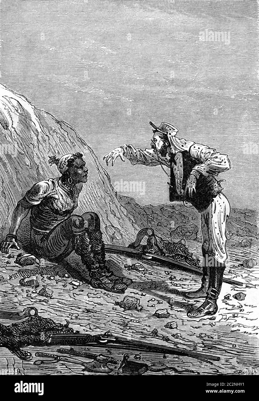 This plague of insects, vintage engraved illustration. Jules Verne 3 ...