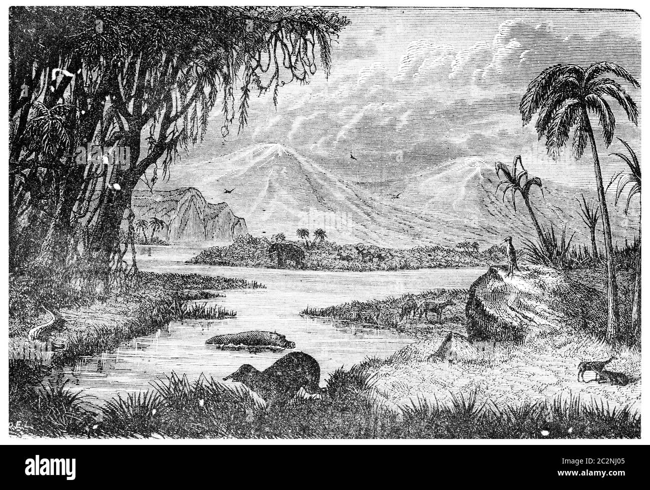 Landscape of the Miocene period in France, vintage engraved ...