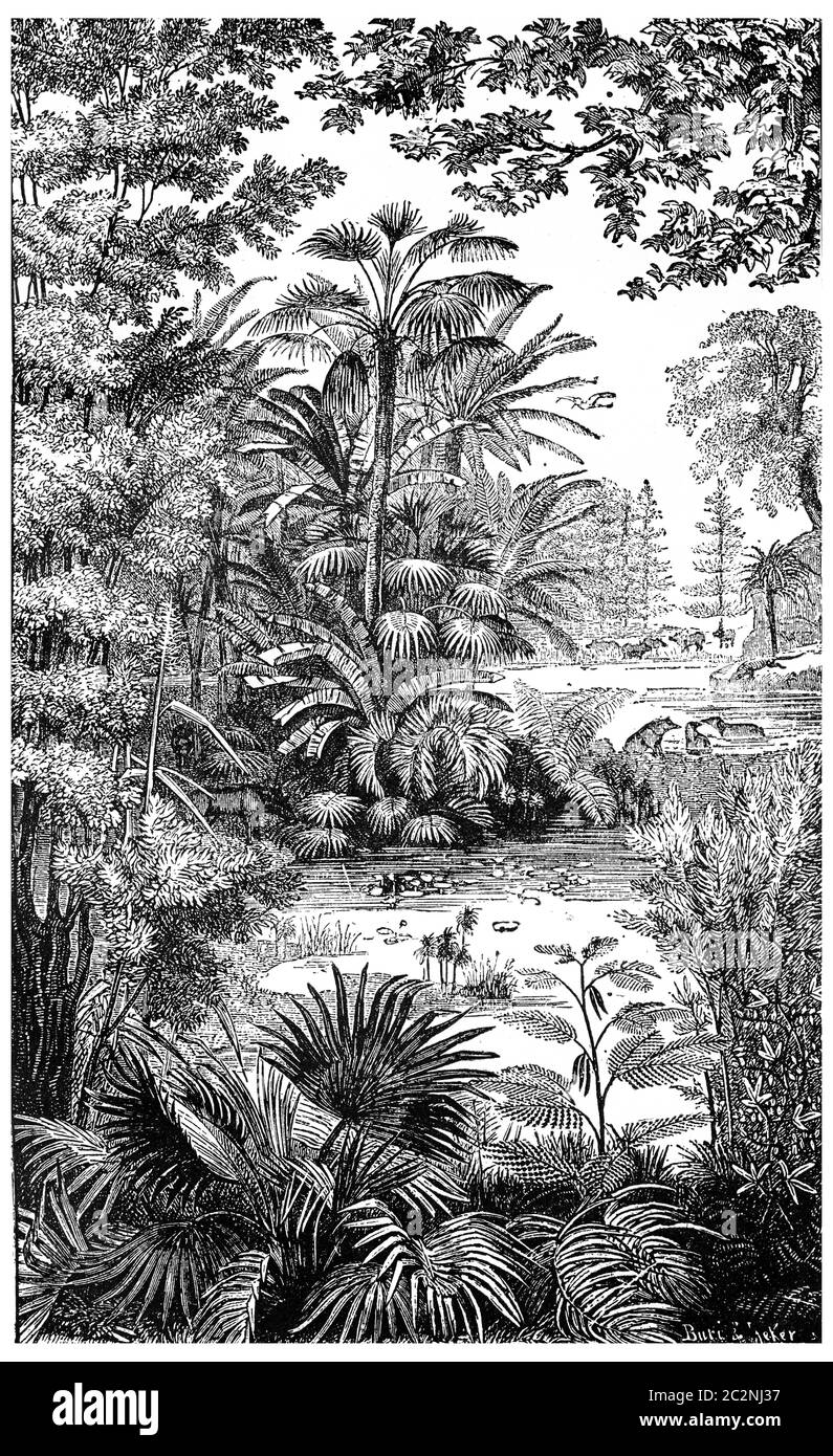 Landscape of the Miocene period in Lausanne, vintage engraved ...