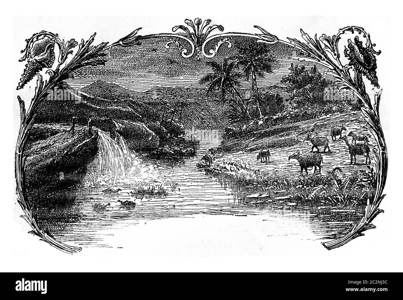 The Eocene period, vintage engraved illustration. Earth before man ...
