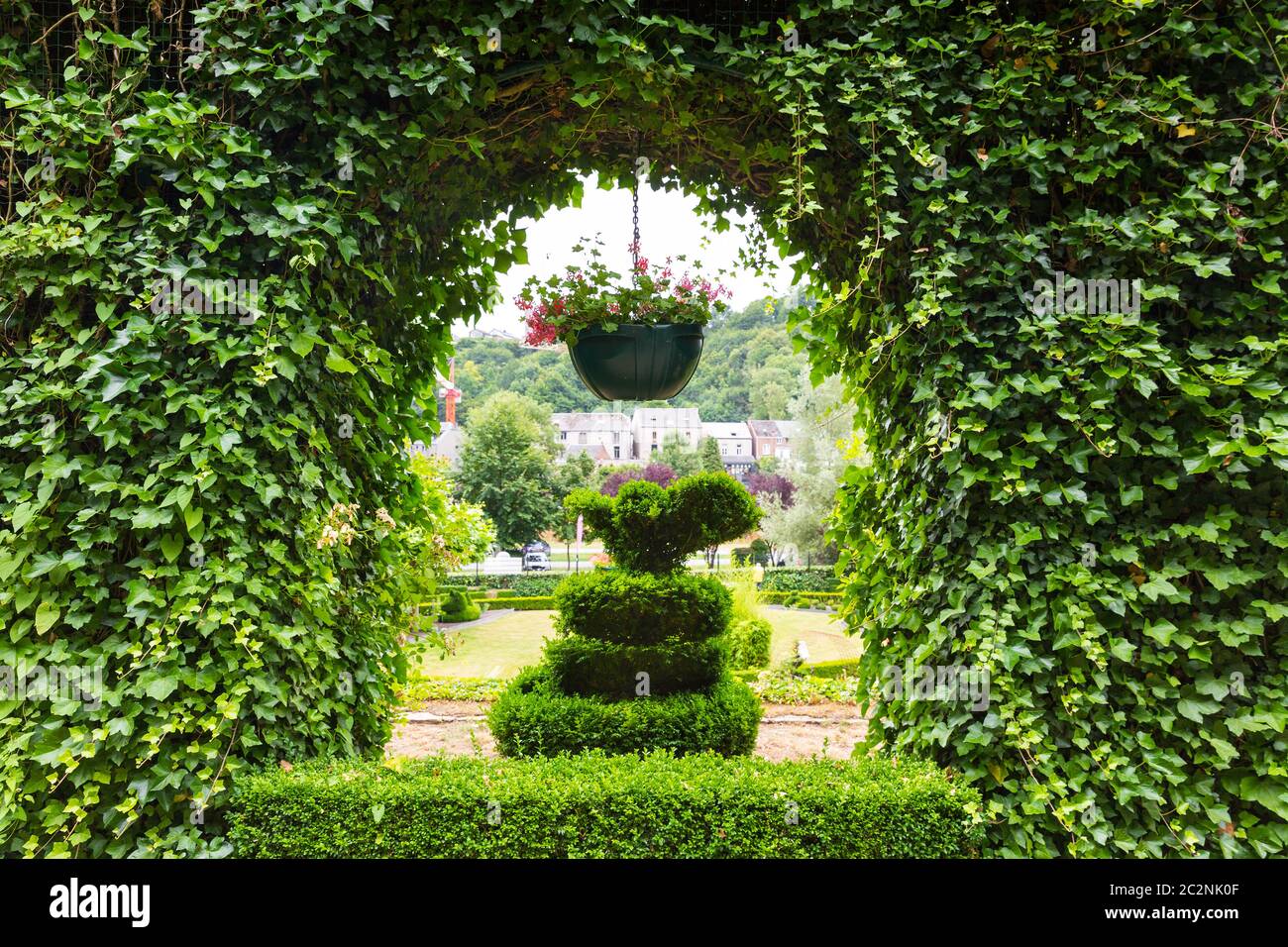 Different plant forms hi-res stock photography and images - Alamy