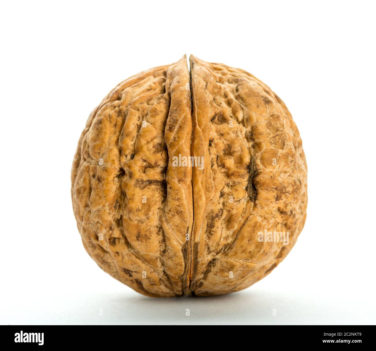 Closed big walnut isolated on white Stock Photo - Alamy