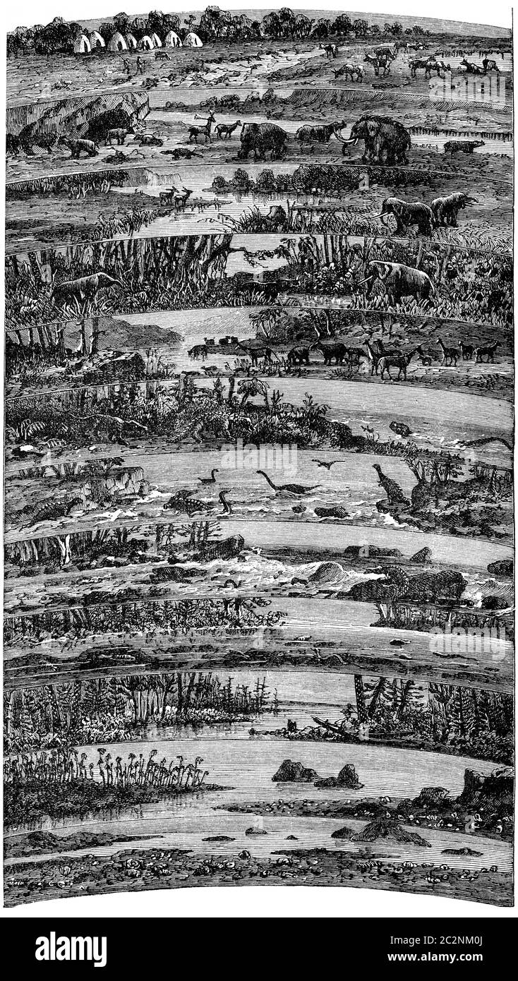 Progressive developments flora and fauna successive ages of the earth ...