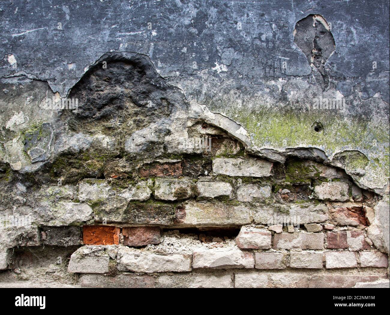 Colorful broken brick wall with mold and moss Stock Photo - Alamy