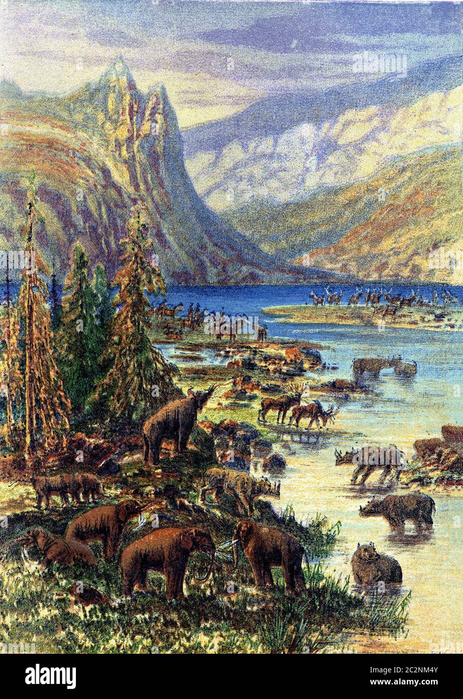 Tertiary age hi-res stock photography and images - Alamy