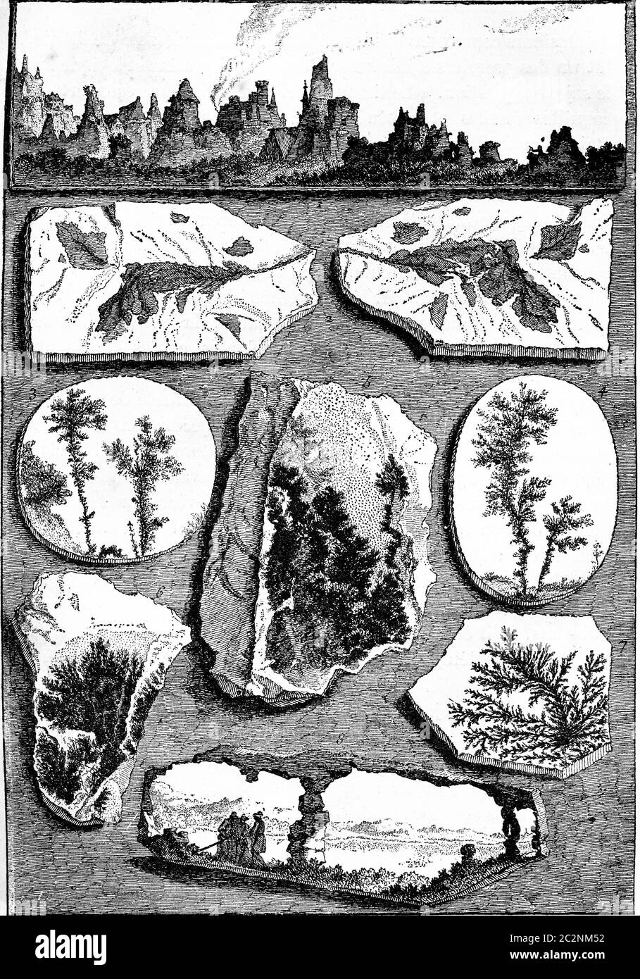 Arborise curious stones, vintage engraved illustration. Earth before ...
