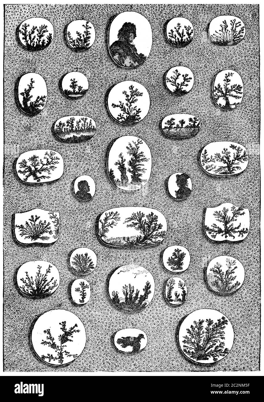 Natural agate bearing singular figures, vintage engraved illustration ...