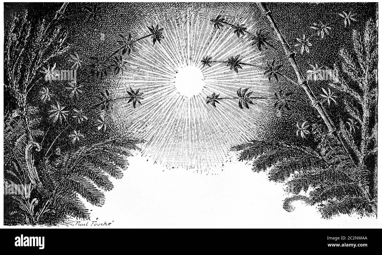 The Carboniferous period, vintage engraved illustration. Earth before ...