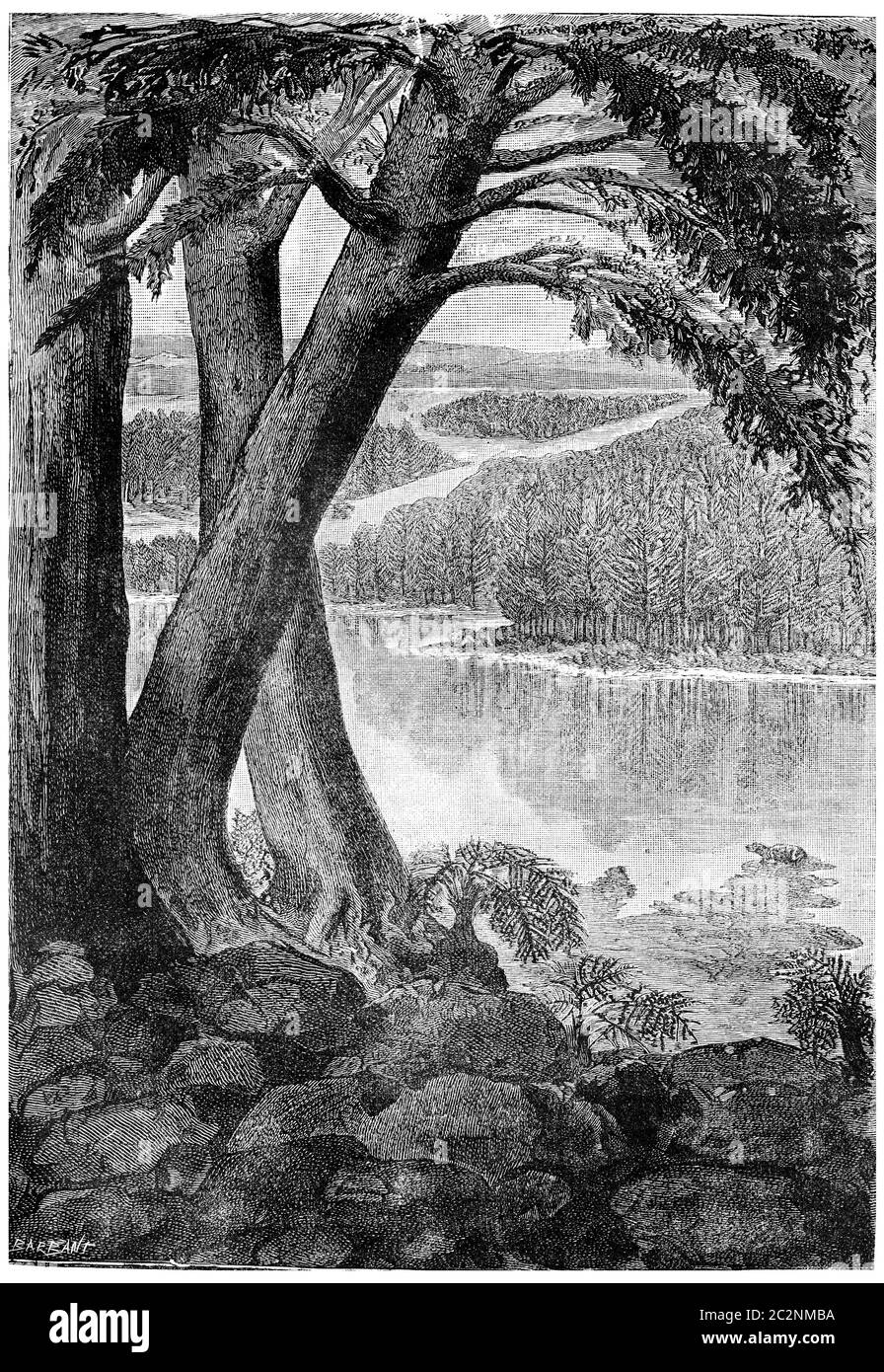 Landscape of the Triassic era, vintage engraved illustration. Earth ...