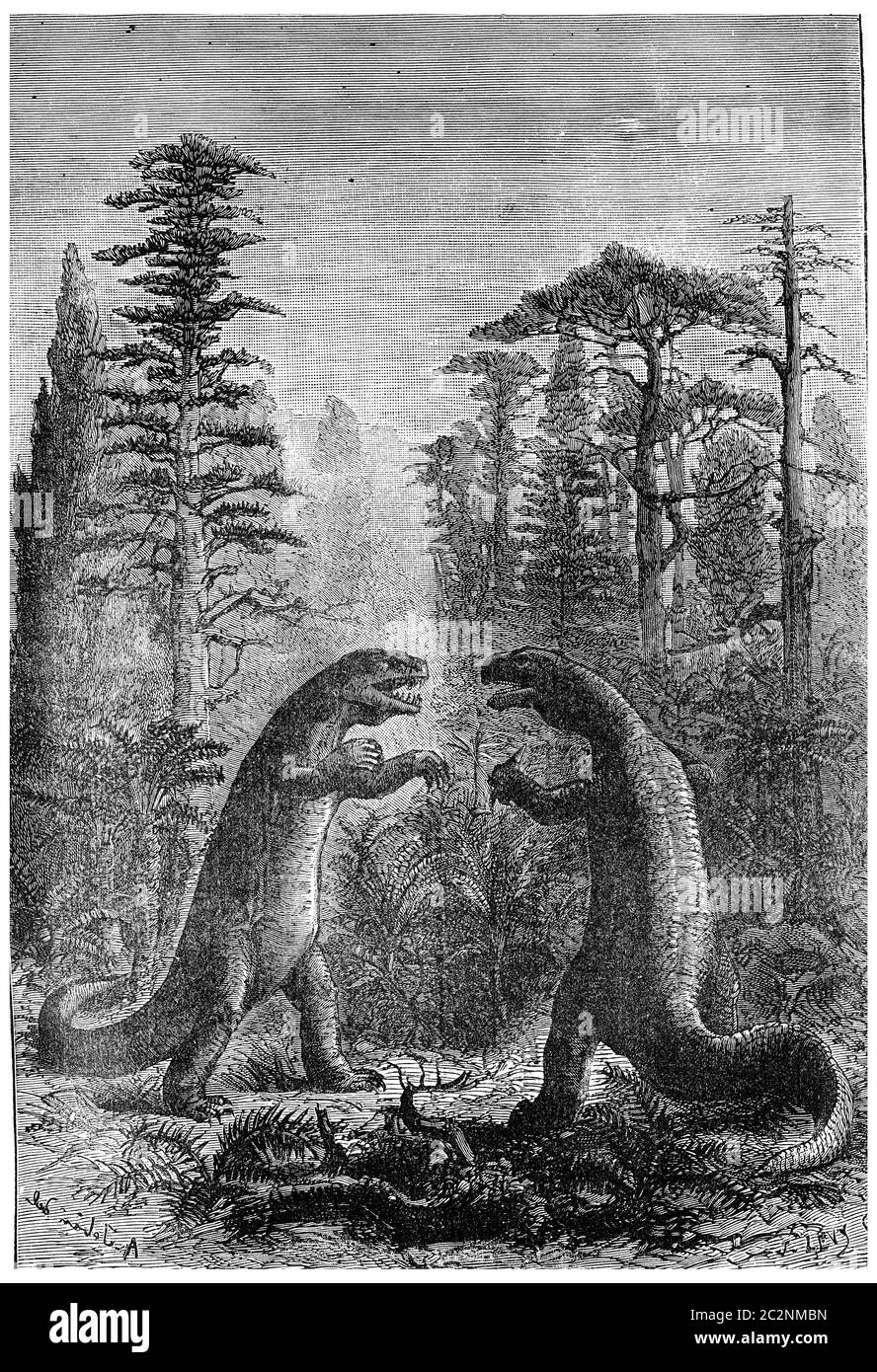 Dinosaur megalosaurus Cut Out Stock Images & Pictures - Alamy