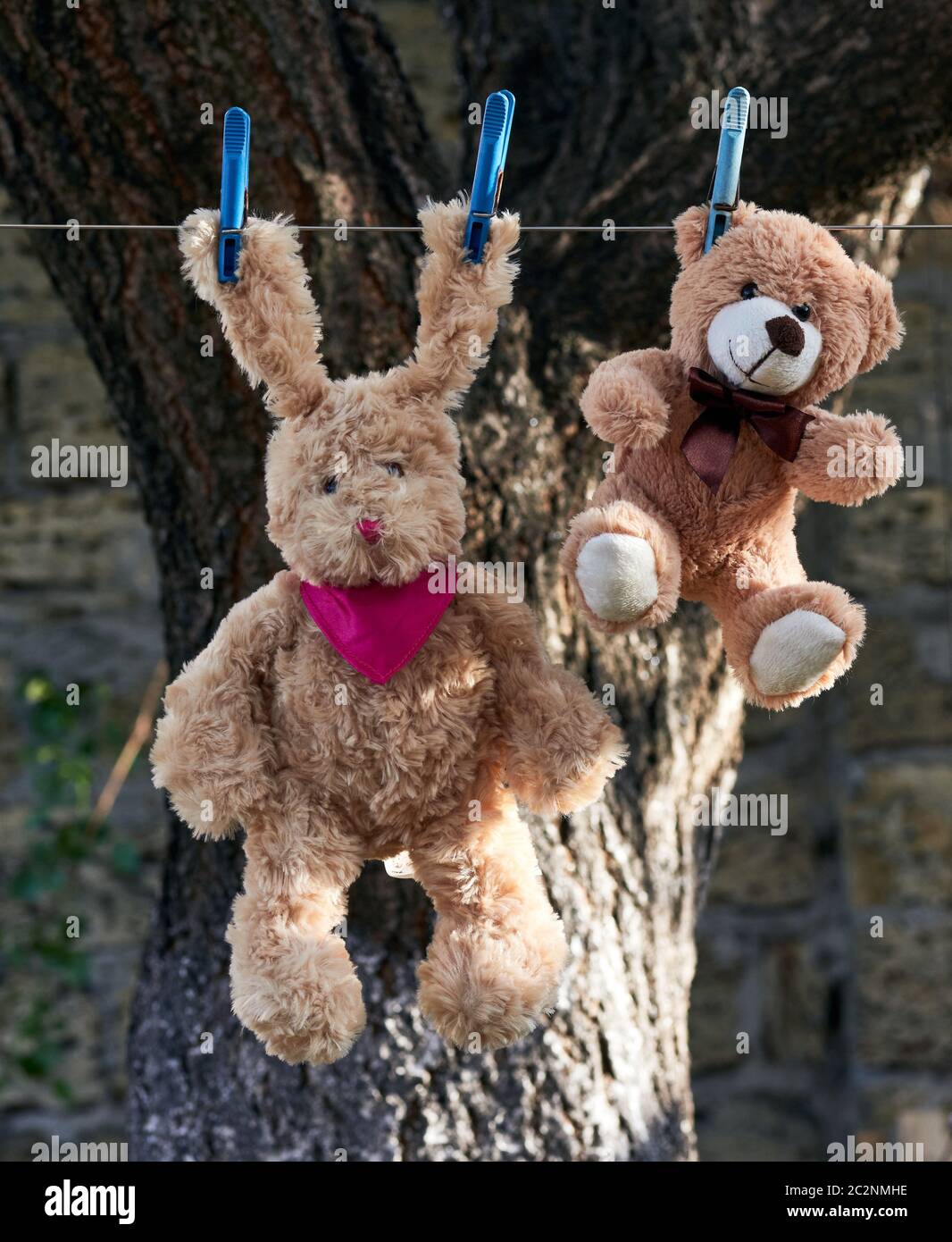 Clean but old teddy bear hi-res stock photography and images - Alamy