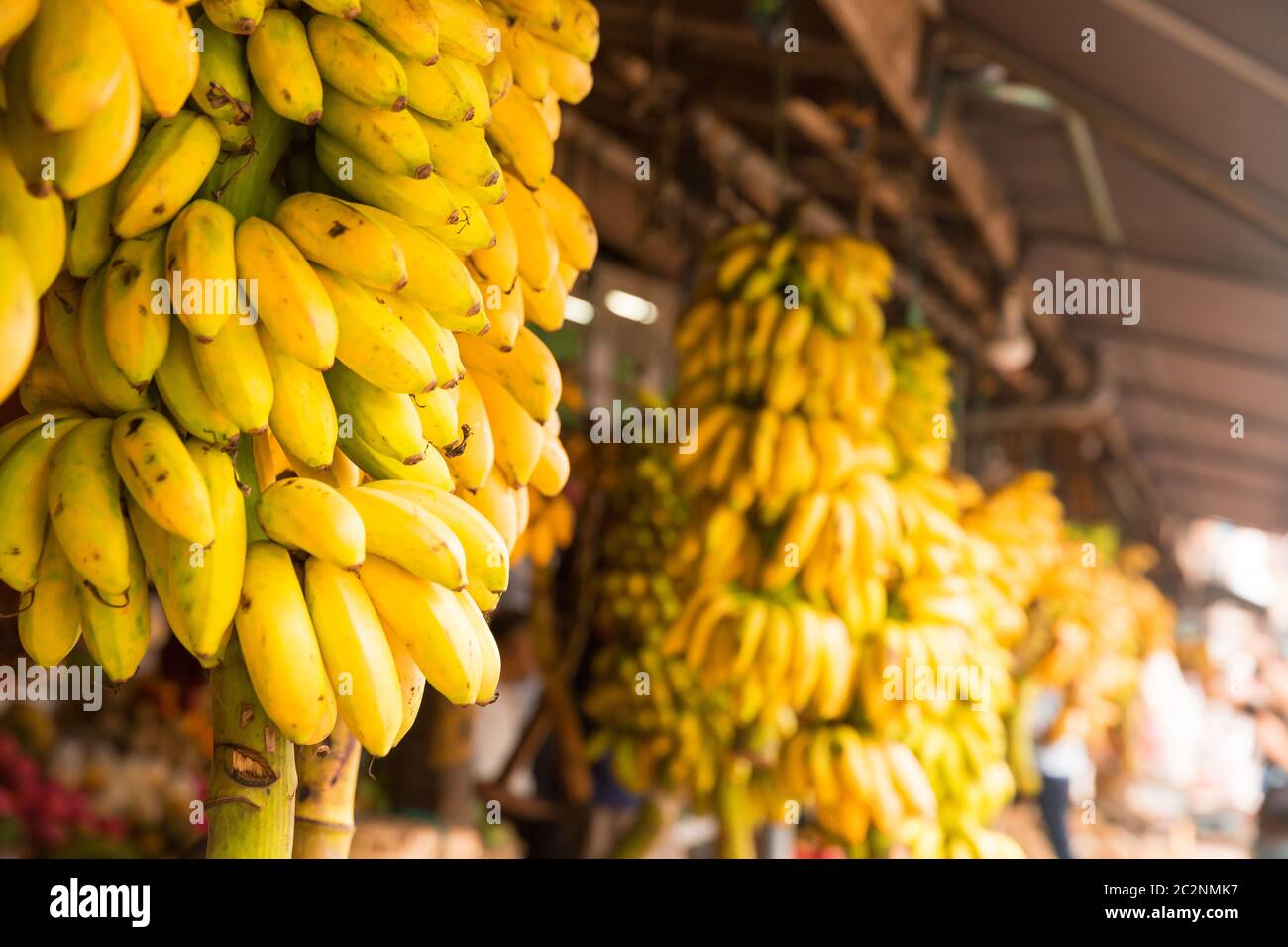 Bananas bunch in fruit shop on sri lanka. Ceylon tropical sweets Stock ...