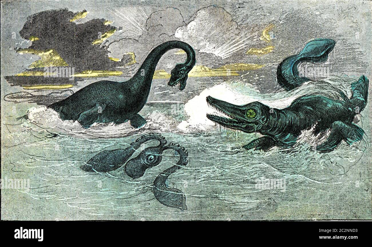 Ichthyosaurs And Plesiosaurs