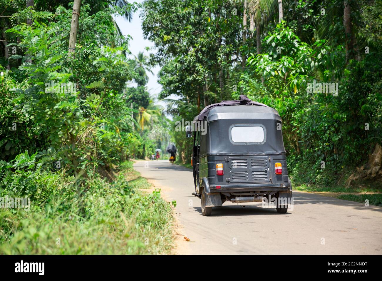 Tuk tuk on road of Sri Lanka, back view. Ceylon tropical forest and ...