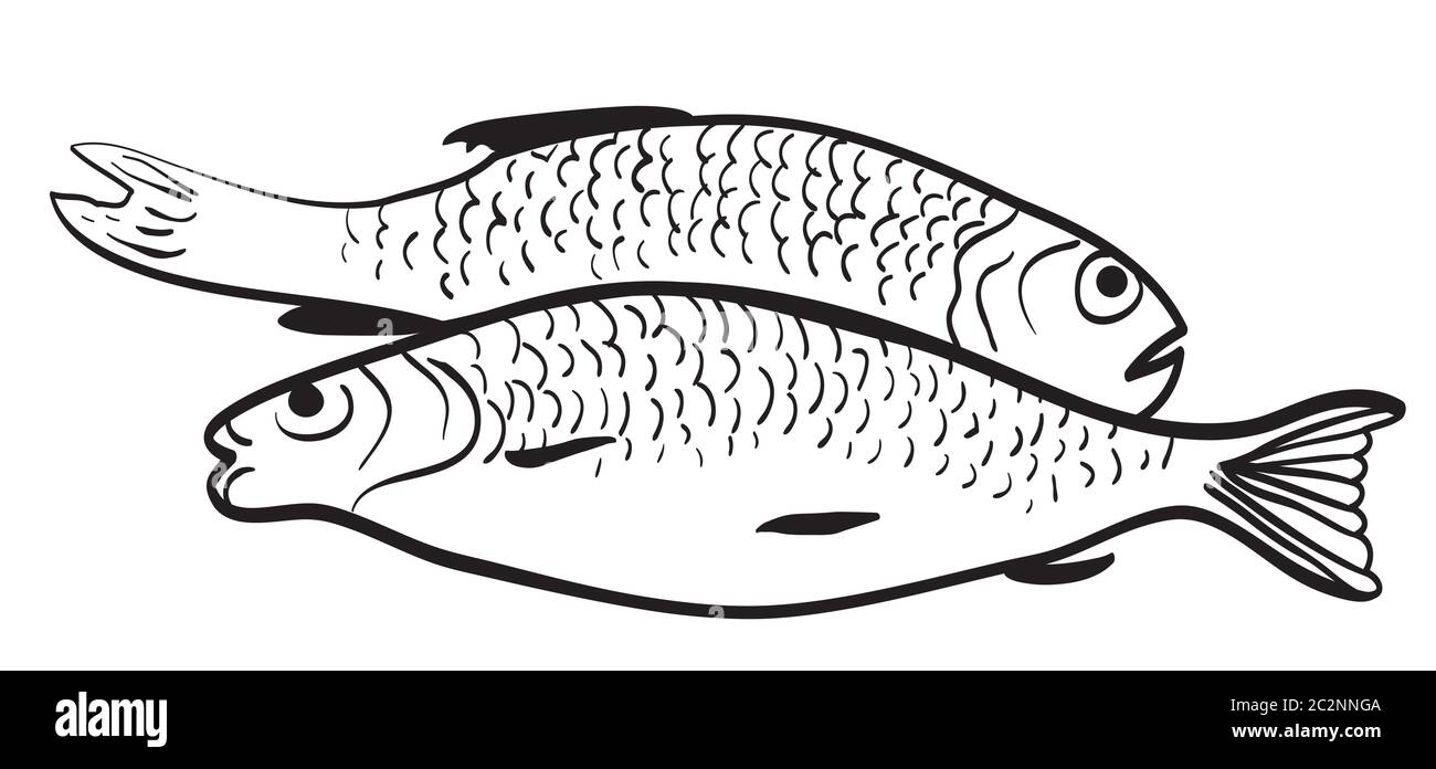 Contour of two fish Stock Photo - Alamy