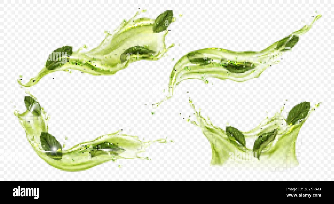 Splash of green tea with mint, matcha isolated on transparent ...