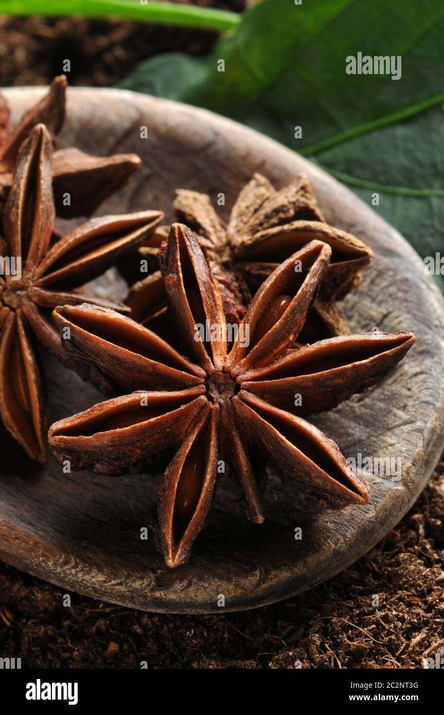 Chinese star aniseed ingredient hi-res stock photography and images - Alamy