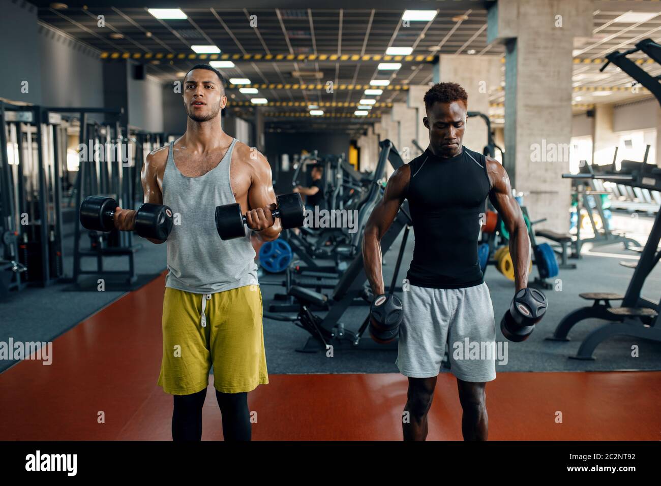 Two muscular men doing exercise with dumbbell on training in gym ...