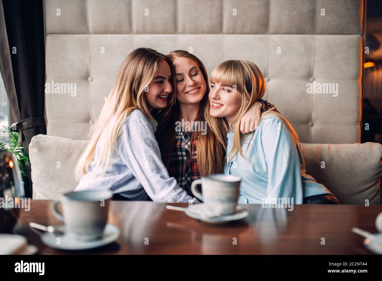 Three attractive girlfriends hugs together in cafe. Female friends ...