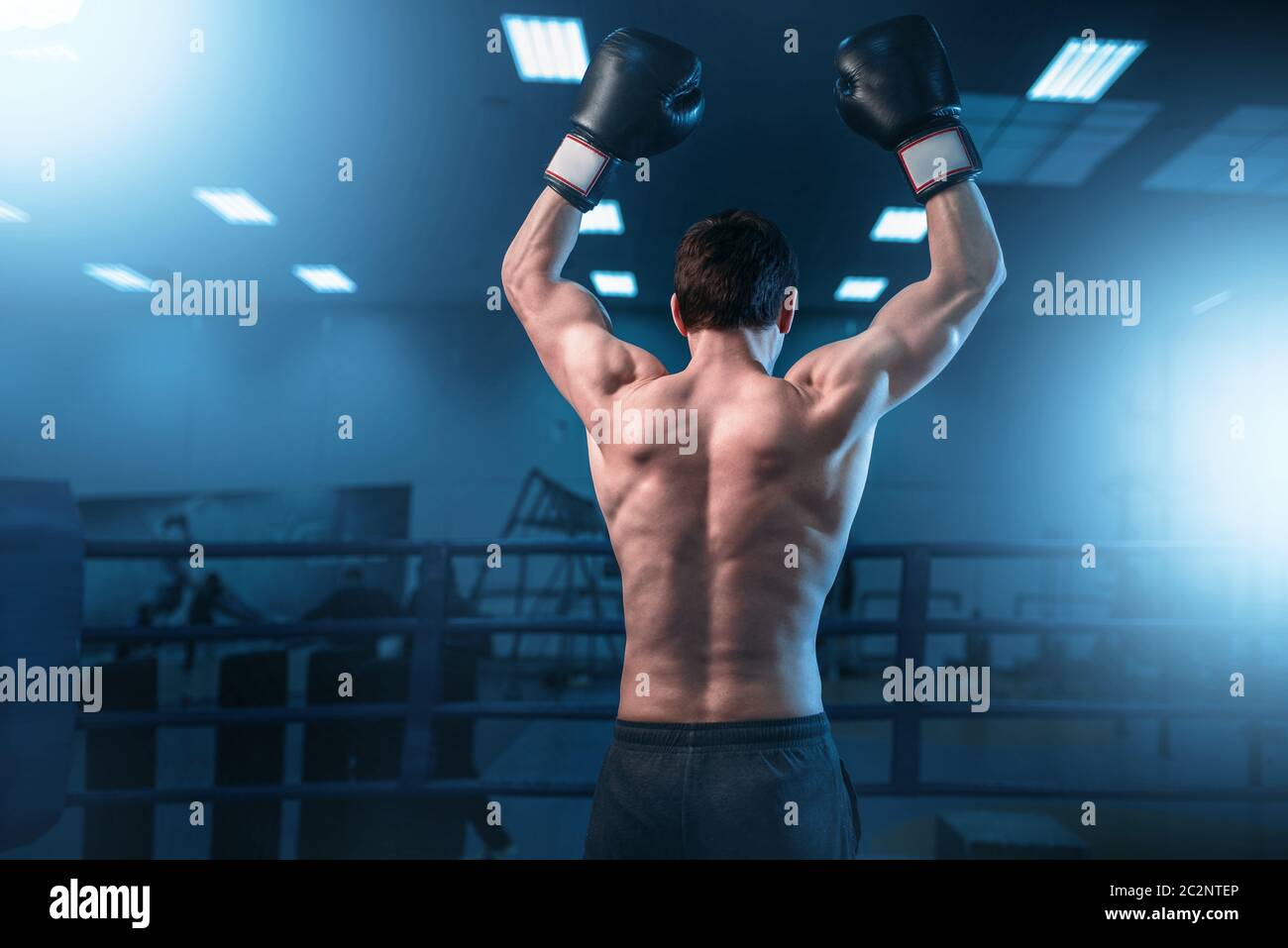 Boxer in gloves hands up on the ring, back view. Boxing workout, mens ...
