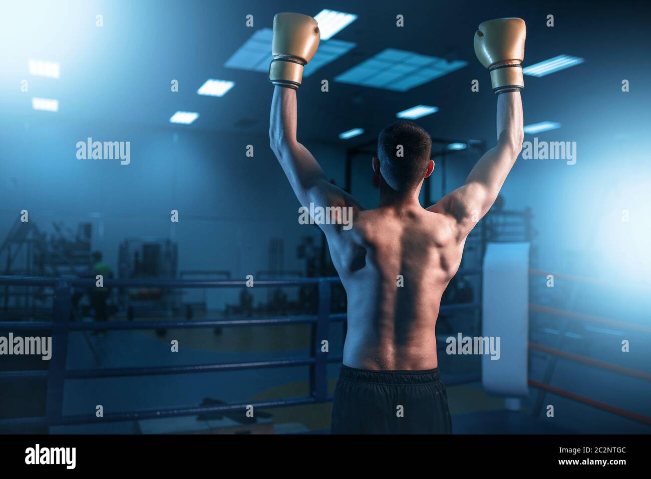 Boxer in gloves hands up on the ring, back view. Boxing workout, mens ...