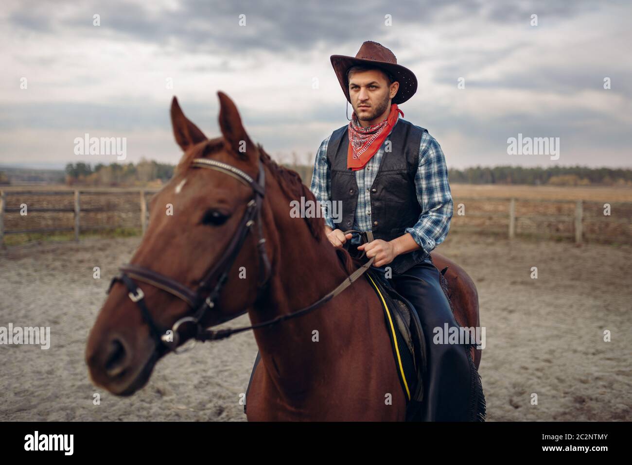 Cowboy in leather clothes riding a horse on farm, western. Vintage male ...