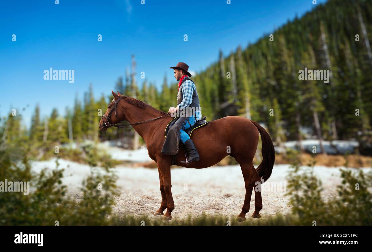 Cowboy in jeans and leather jacket riding a horse, mountain and forest ...
