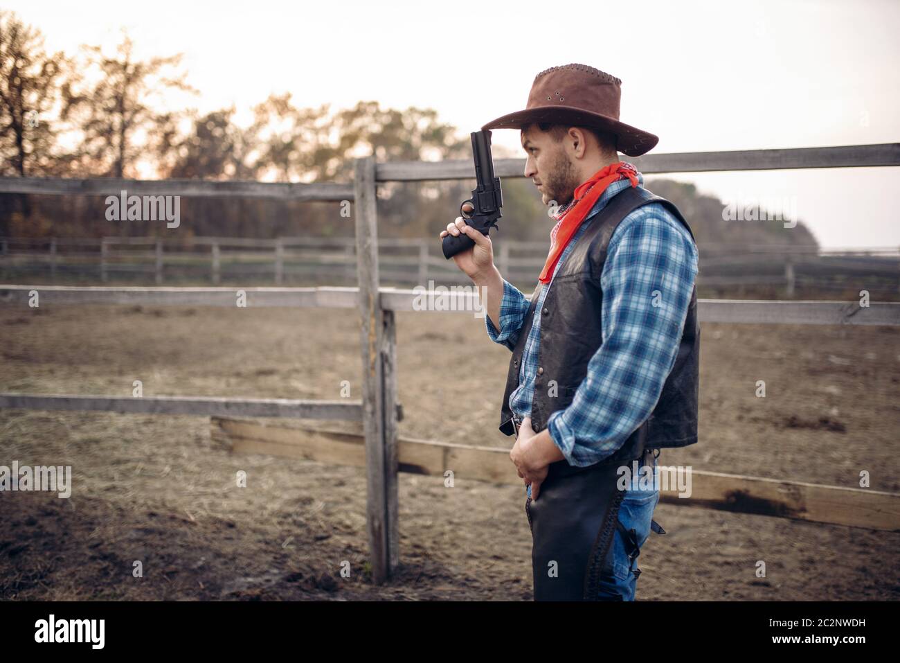 Cowboy with revolver prepares to gunfight in gesert valley, western ...